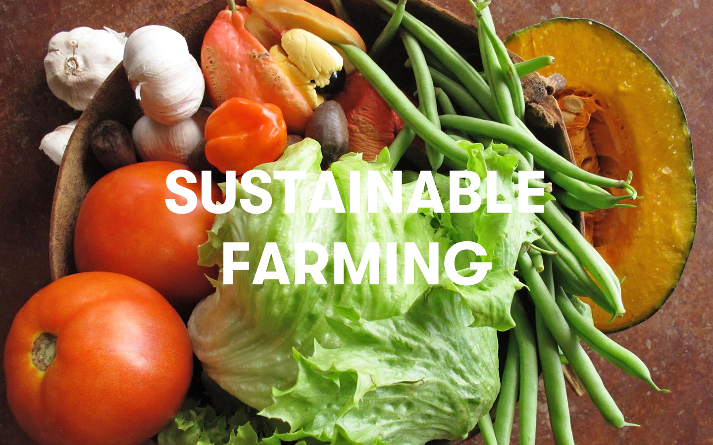 Local Jamaican Food Grown Through Sustainable Faming | Jakes Hotel