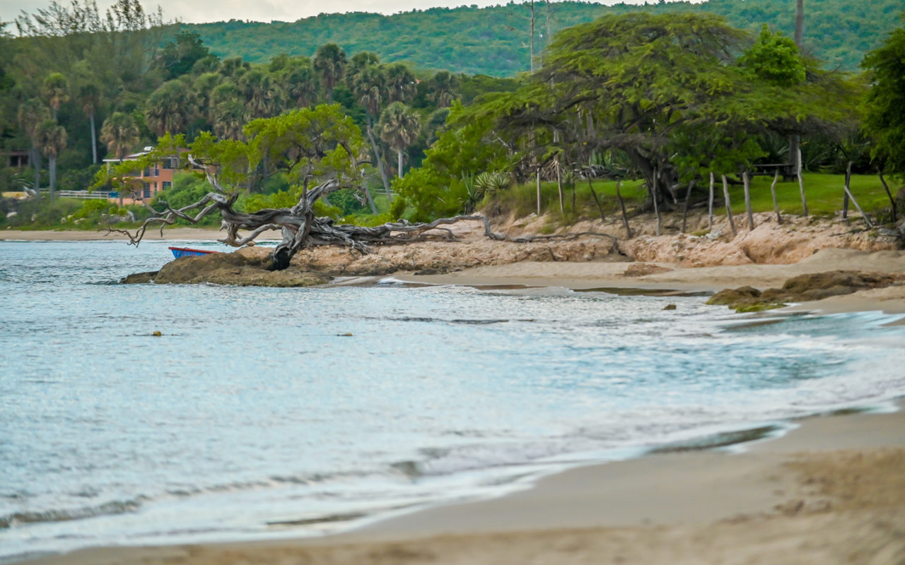 Treasure Beaches: Calabash Bay, Old Wharf, Great Bay, Frenchman's ...